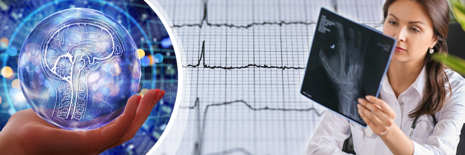 Βιοϊατρική και Εφαρμογές της Επιστήμης Μηχανικού | E-Learning ...