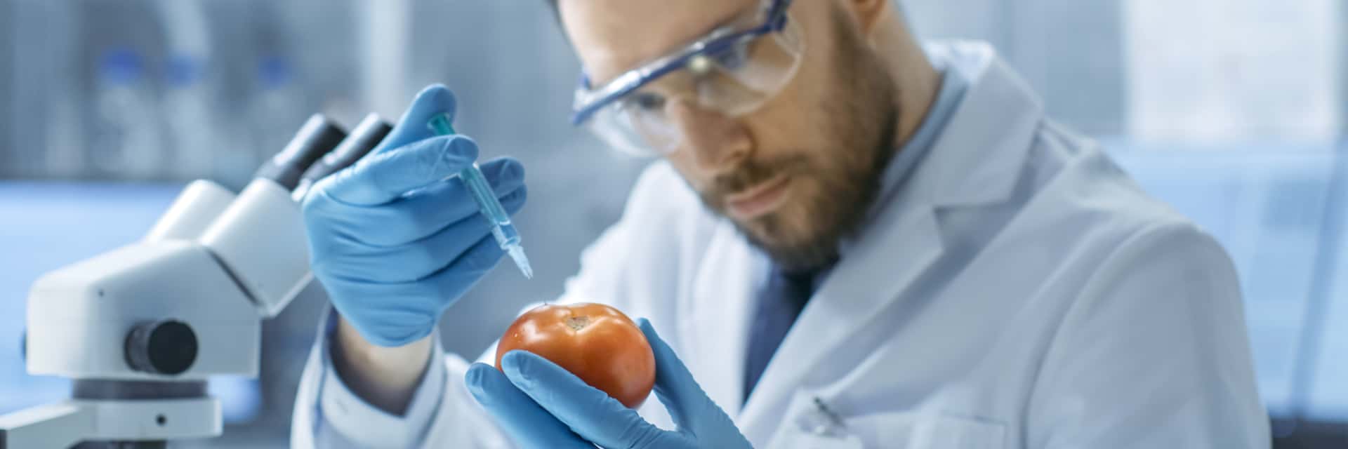 Χημεία Τροφίμων και η Τεχνολογία της Διατροφής | E-Learning ...