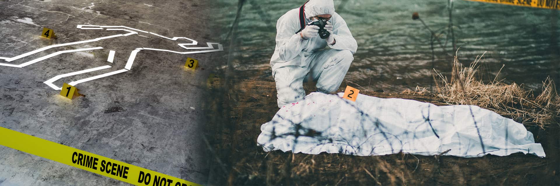 Εγκληματολογία: Διεπιστημονική Προσέγγιση της Ανθρωποκτονίας για ...