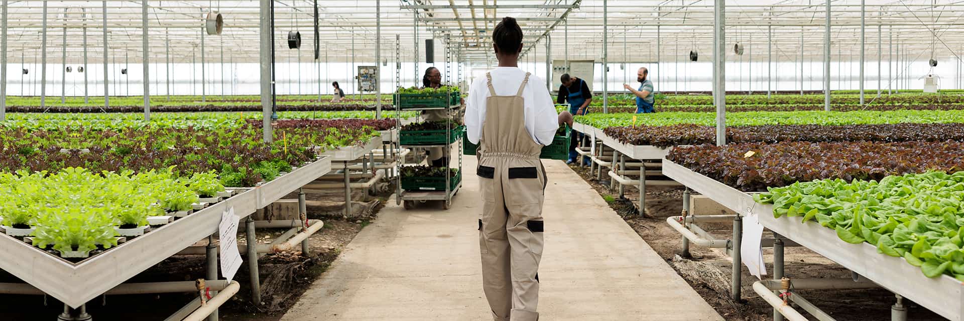 Δημιουργία και Διαχείριση Αγροτικών Επιχειρήσεων | E-Learning ...